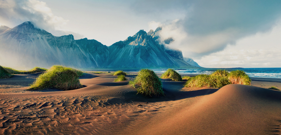 COLOR projects 6 professional 英語｜ソースネクスト