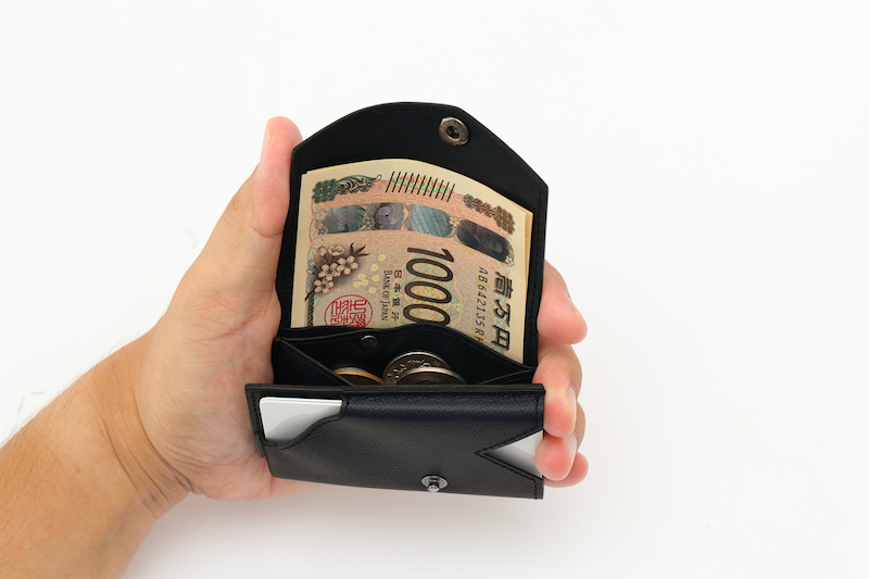 スマートタグも入る小さい財布 abrAsus｜ソースネクスト